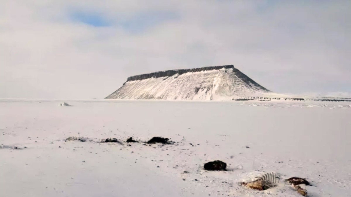 NASA Uncovers a Massive Hidden Base 100 Feet Beneath the North Pole
