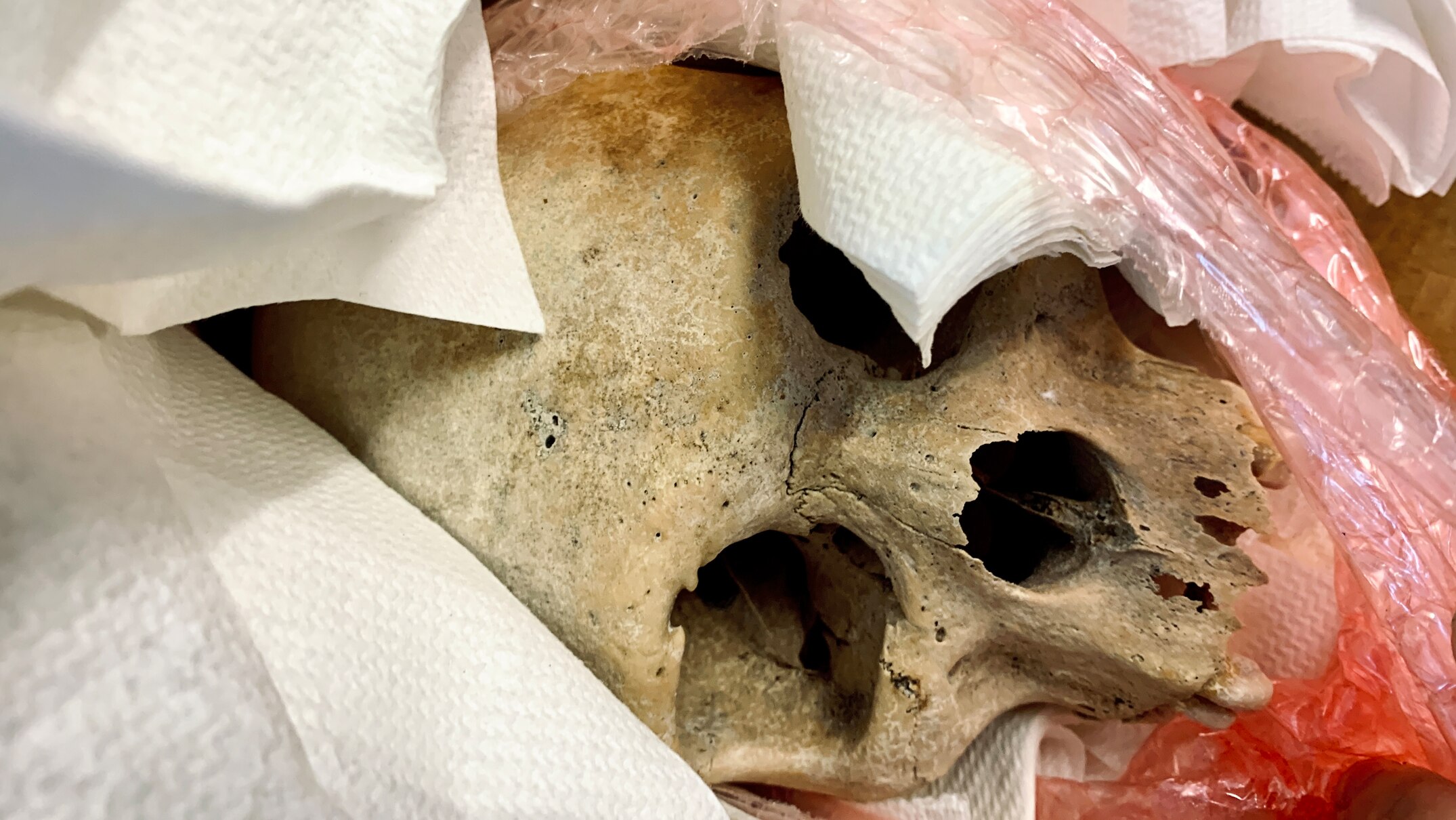 Australia's first independent forensics lab targeting cold cases and ...