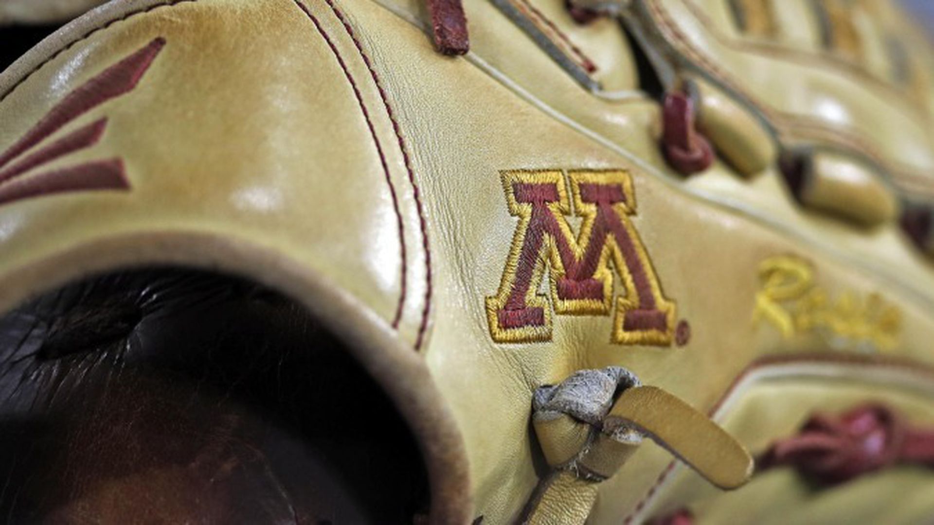 How will Gopher baseball be under first-year coach, Ty McDevitt