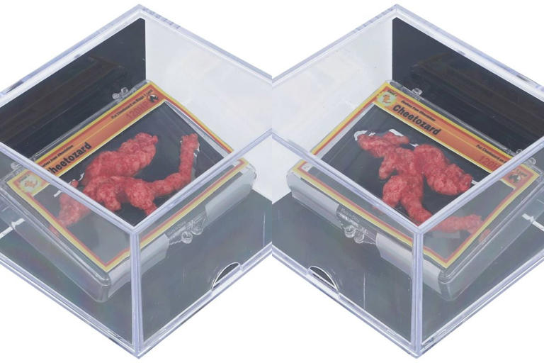 ¡No es broma! Cheeto con forma de Charizard se vendió por más de 87 mil ...