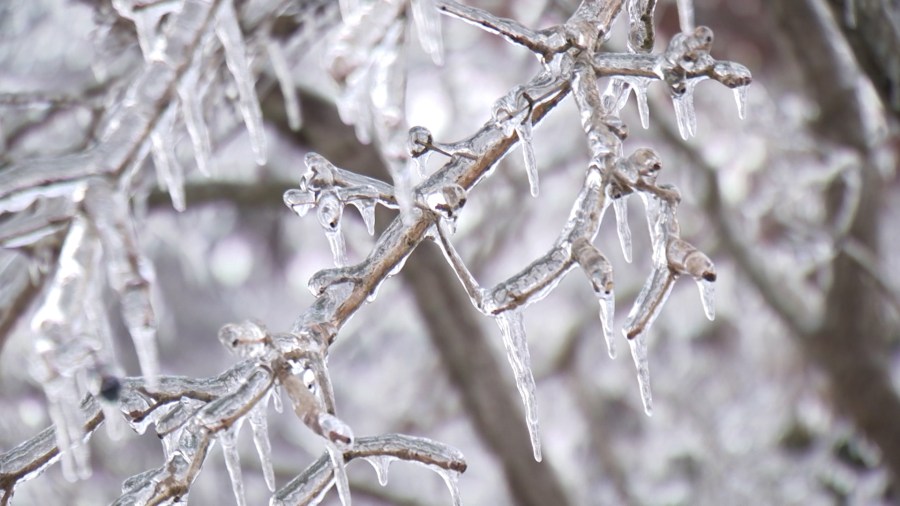 CenterPoint discusses response to January ice storm