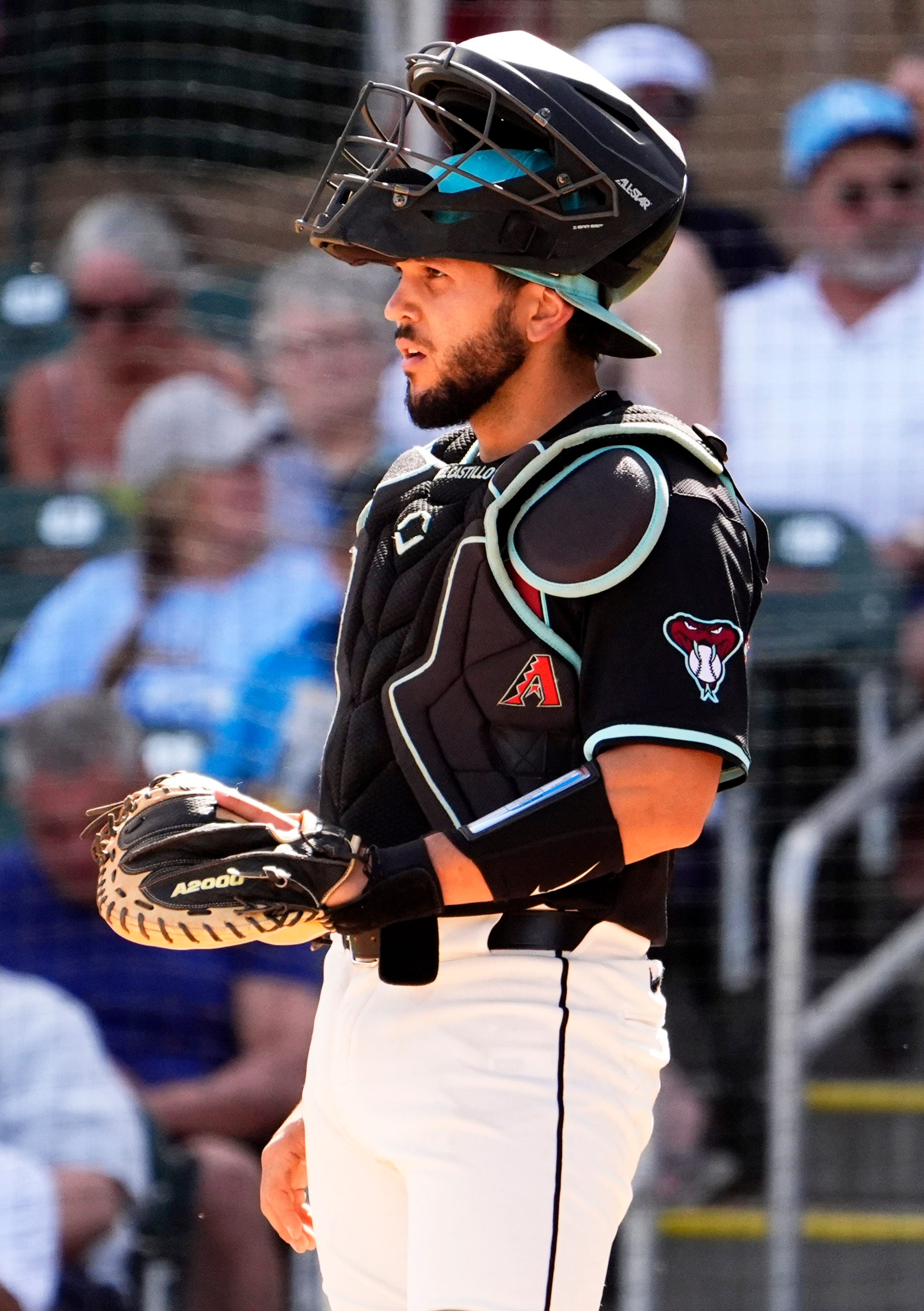 Hot-hitting catcher Adrian Del Castillo focused on throwing at Arizona Diamondbacks camp