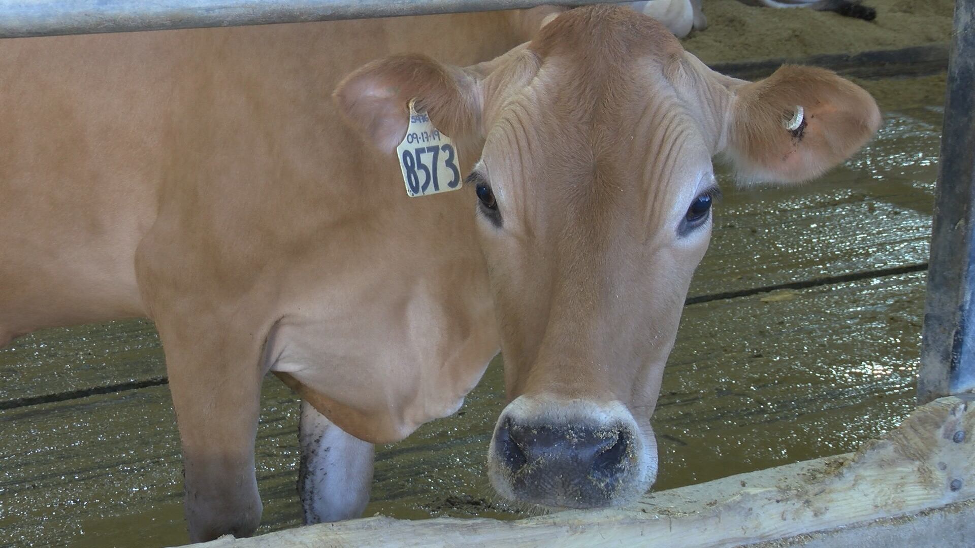 A farm four generations strong was honored as Iowa’s Small Business of ...
