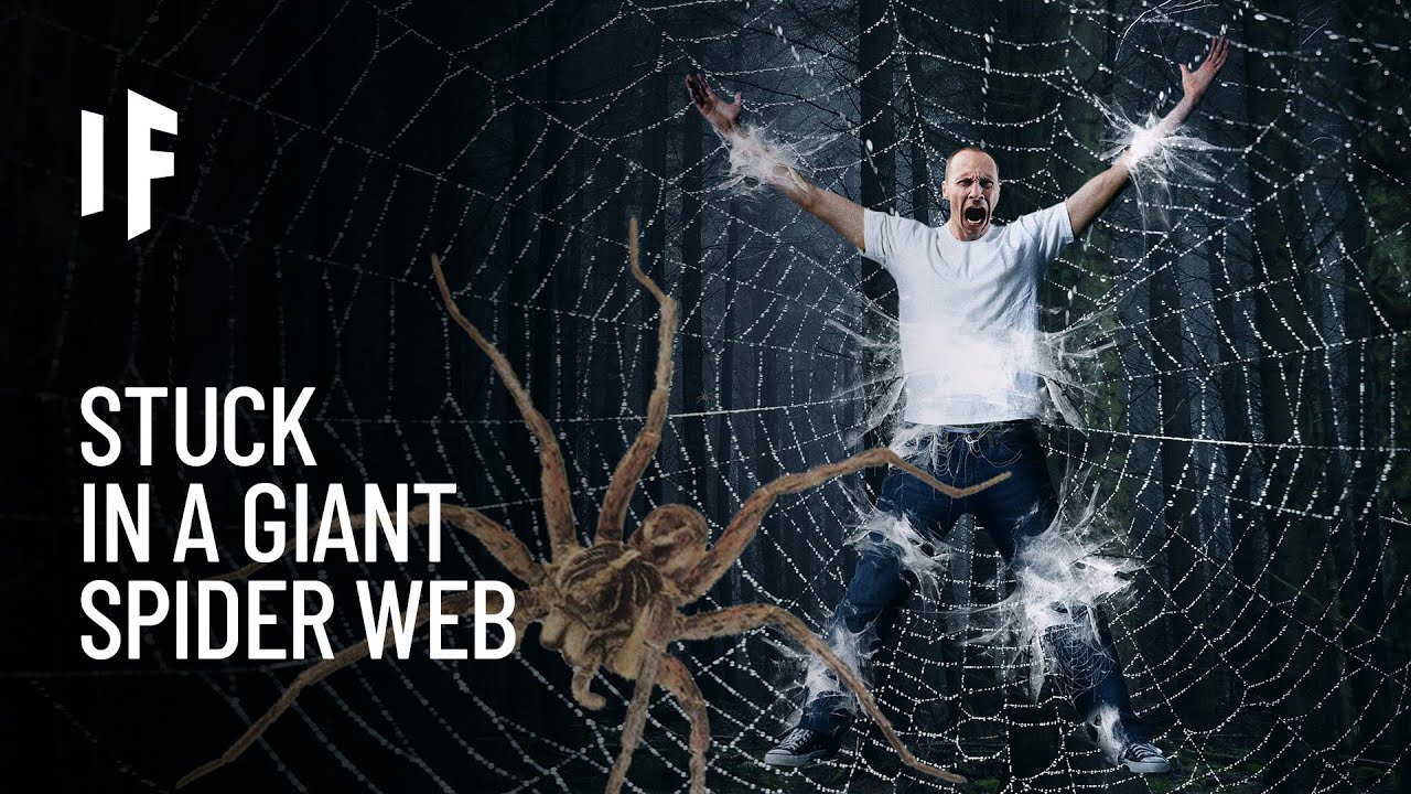 Imagine getting caught in a giant spider web and escaping