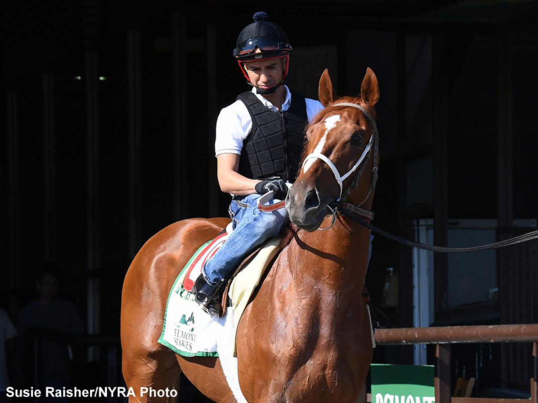 Group Including Trainer Eric Reed Buys Kentucky Derby Winner Rich ...