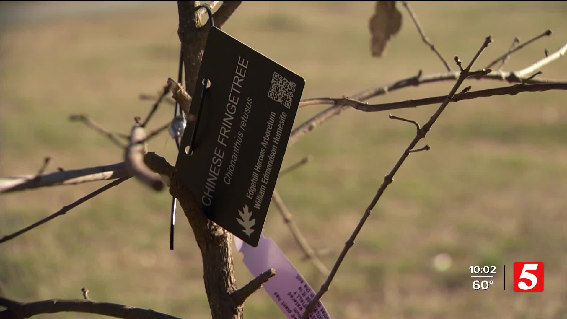 USDA terminates a $1 million federal contract to help fund tree ...