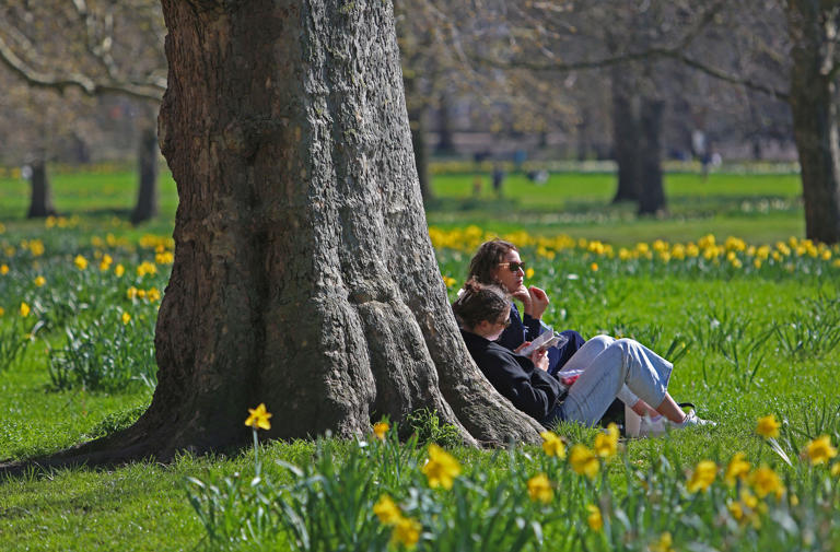 UK weather: Today is the first day of meteorological spring - When do ...