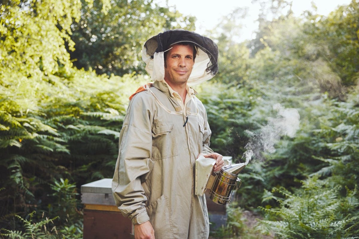 A 'sticky' problem facing beekeepers: The UK's fake honey crisis explained