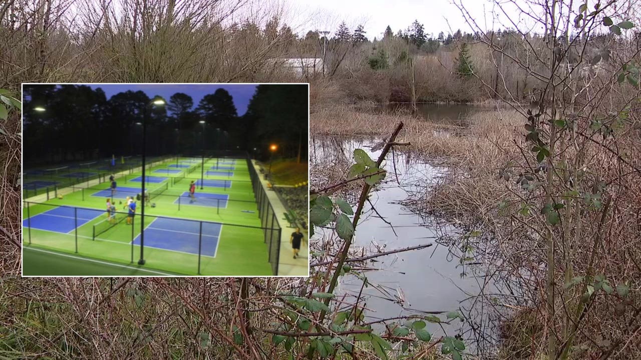 Pickleball court plans at Seattle's Magnuson Park could hurt wildlife ...