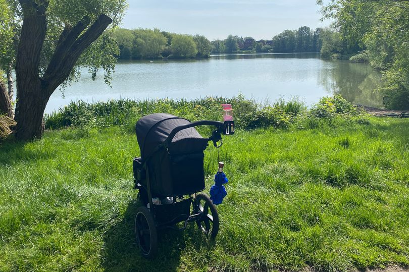The easy 30 minute Surrey walk around a peaceful lake that ends at ...