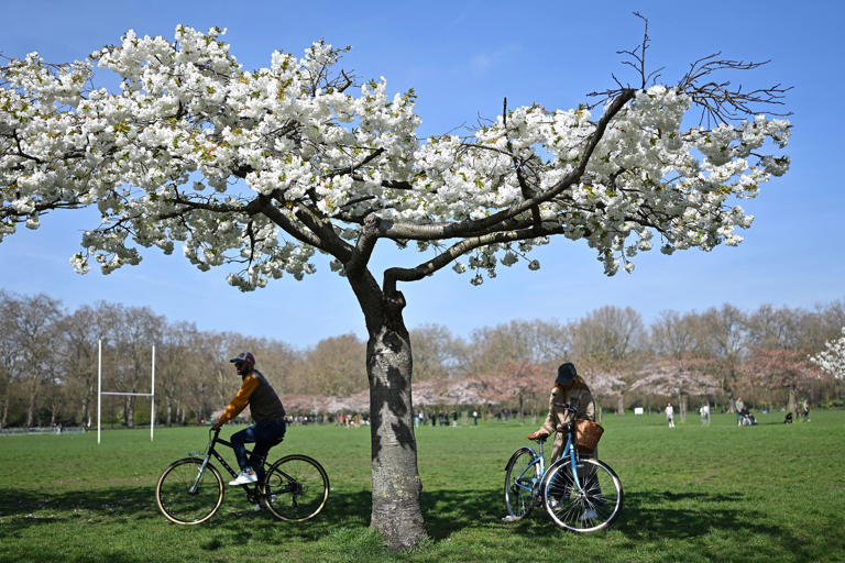 UK weather: Today is the first day of meteorological spring - When do ...