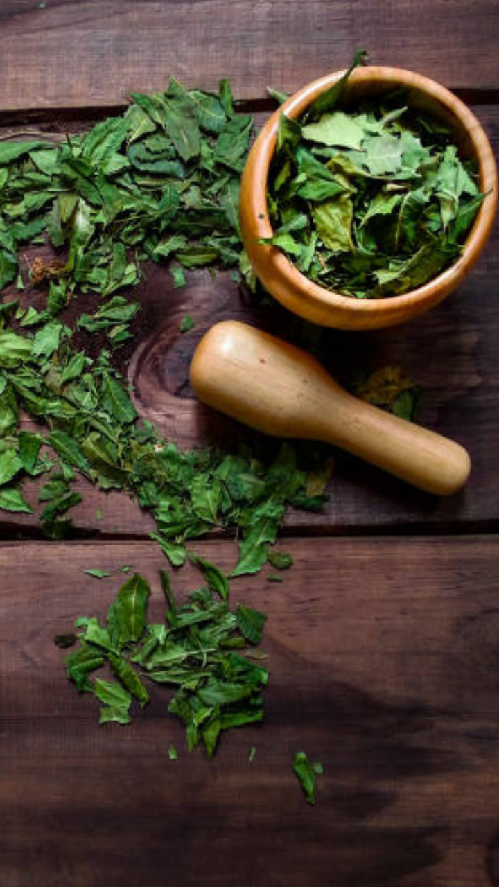 10 benefits of chewing 5 neem leaves on an empty stomach