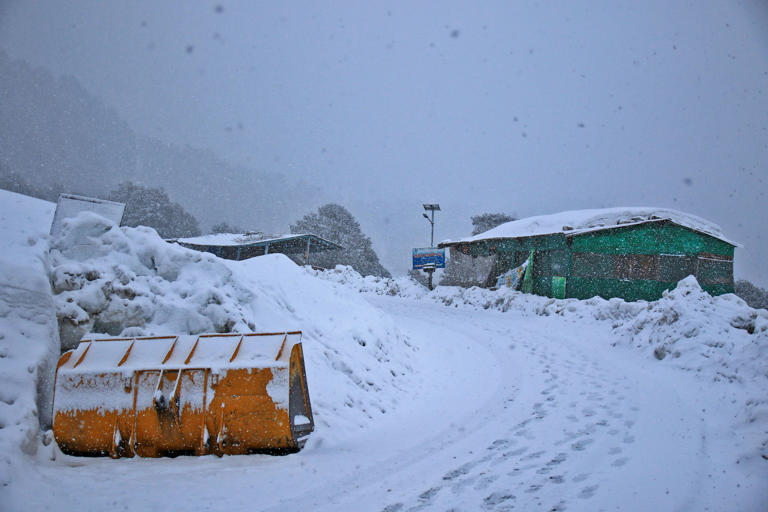 Uttarakhand avalanche: 14 more BRO workers rescued, 8 remain trapped ...