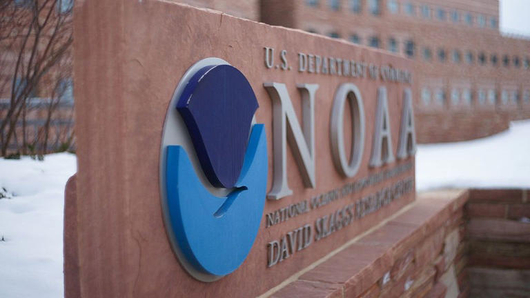 Scientists warn of consequences as over 800 NOAA workers are fired ...