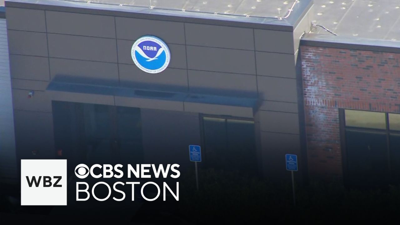 Meteorologist, veterans services director among Mass. workers fired in ...