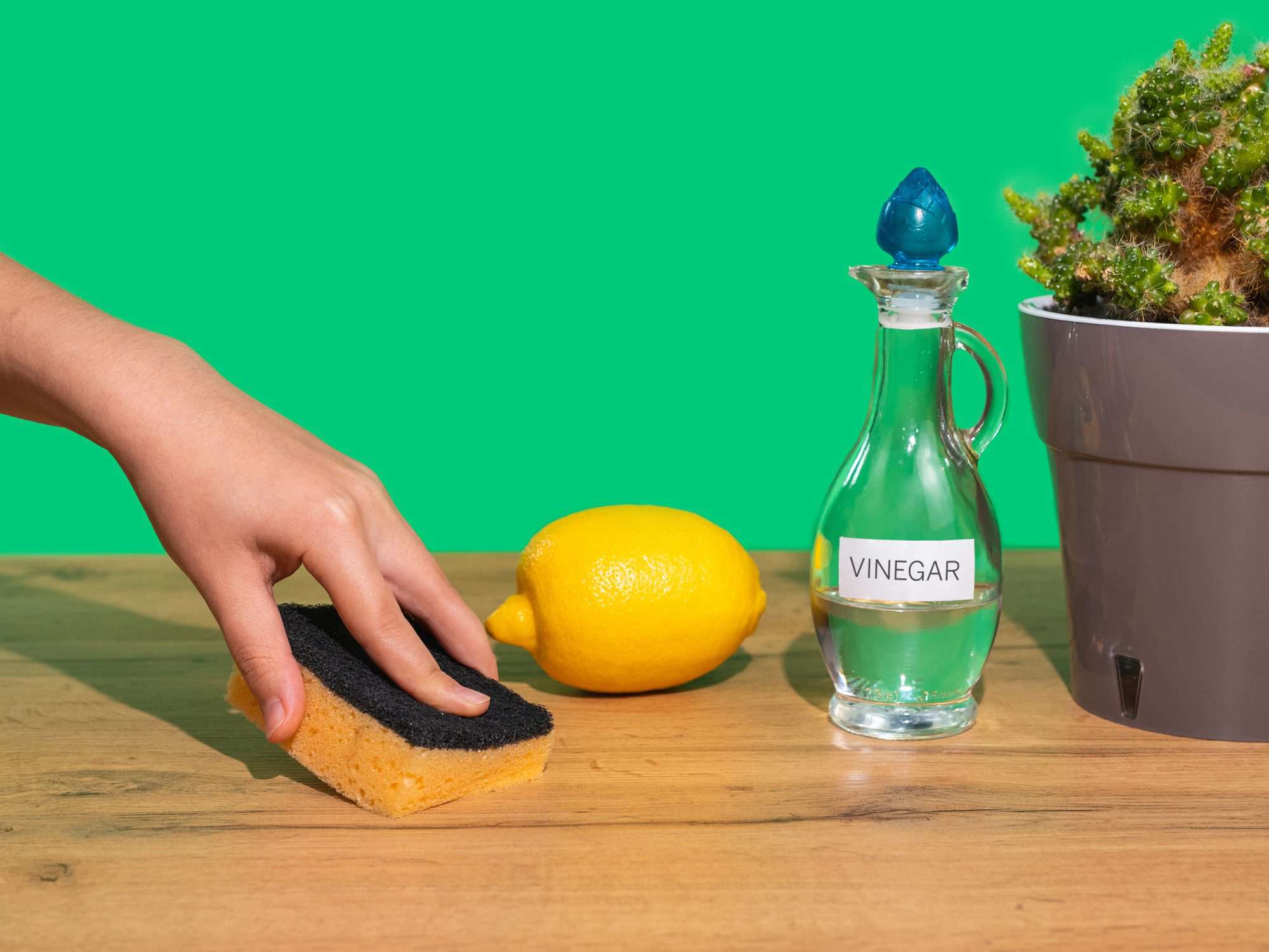 How to Use Cleaning Vinegar to Clean Almost Everything
