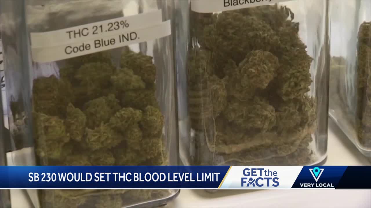 Get the Facts: Senate Bill 230 would set THC blood level limit in Kentucky