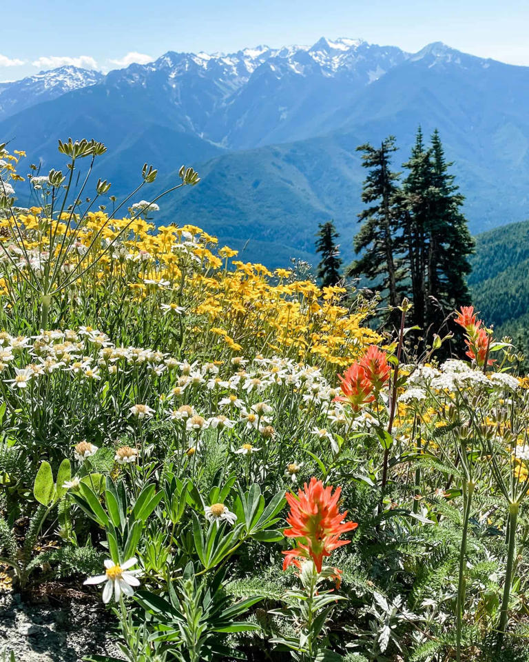 35 Best West Coast National Parks You Need to Visit