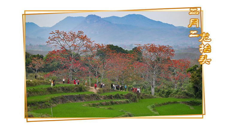 Changes on the way for Oracle Park's iconic Coca-Cola bottle slide