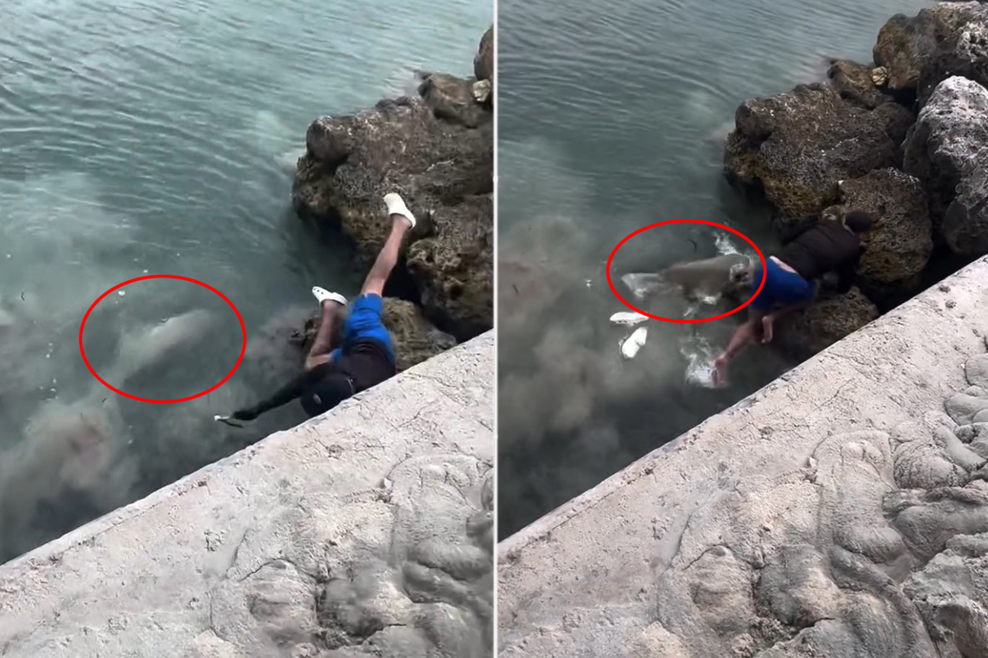 Crocs-wearing fisherman winds up as shark bait after terrifying tumble ...