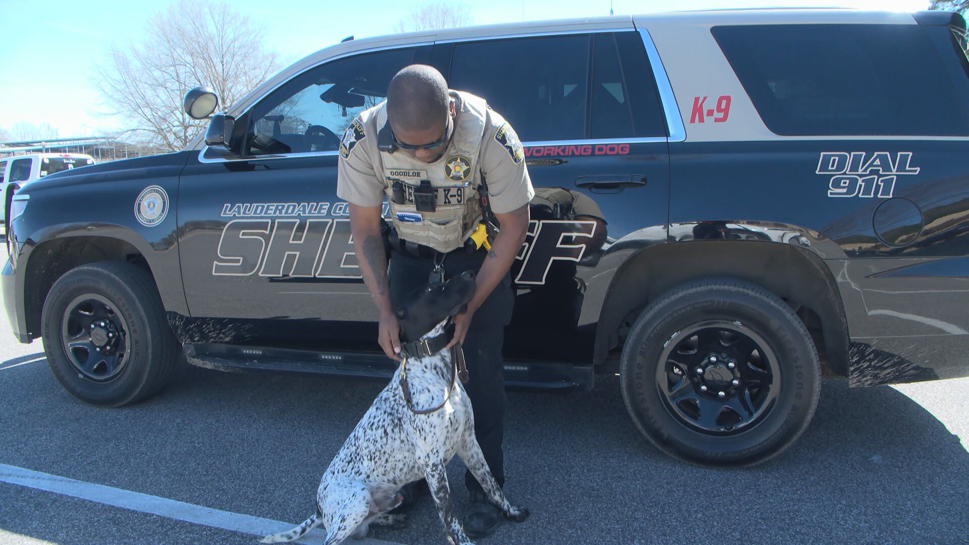 ‘Paws Enforcing Laws’: Lauderdale Co. adds new ‘Ace’ addition to the force