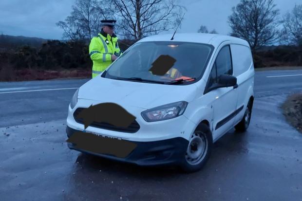 'Disappointing' number of animal crashes in New Forest in 2025, say police