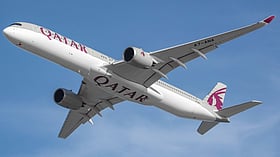 'Acted Quickly, Appropriately & Professionally': Qatar Airways Responds ...