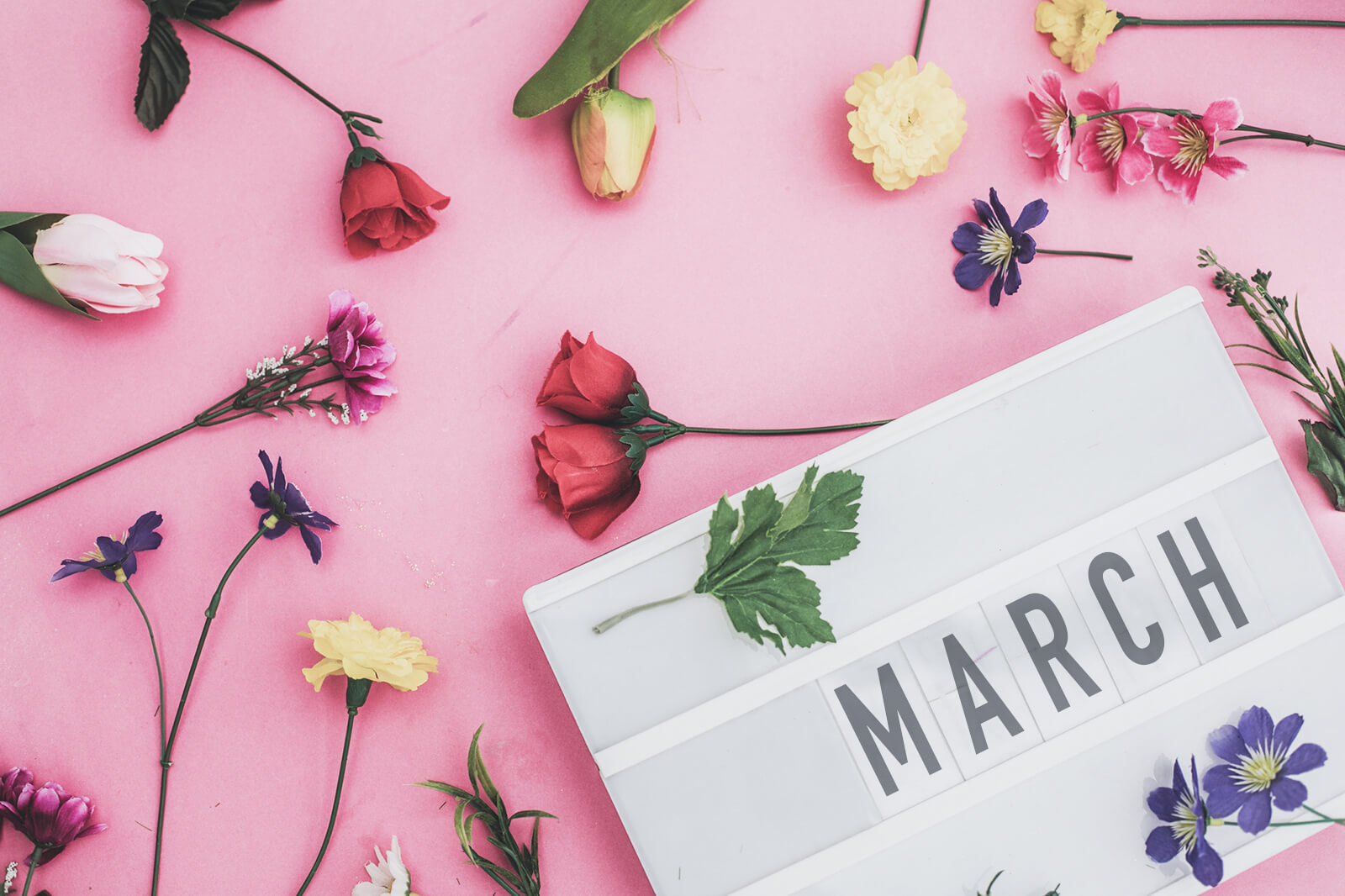 70 Bright & Sunny March Quotes to Say "Goodbye" to Winter