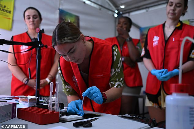 Yours and Owls Festival, Wollongong: First pill testing site launched