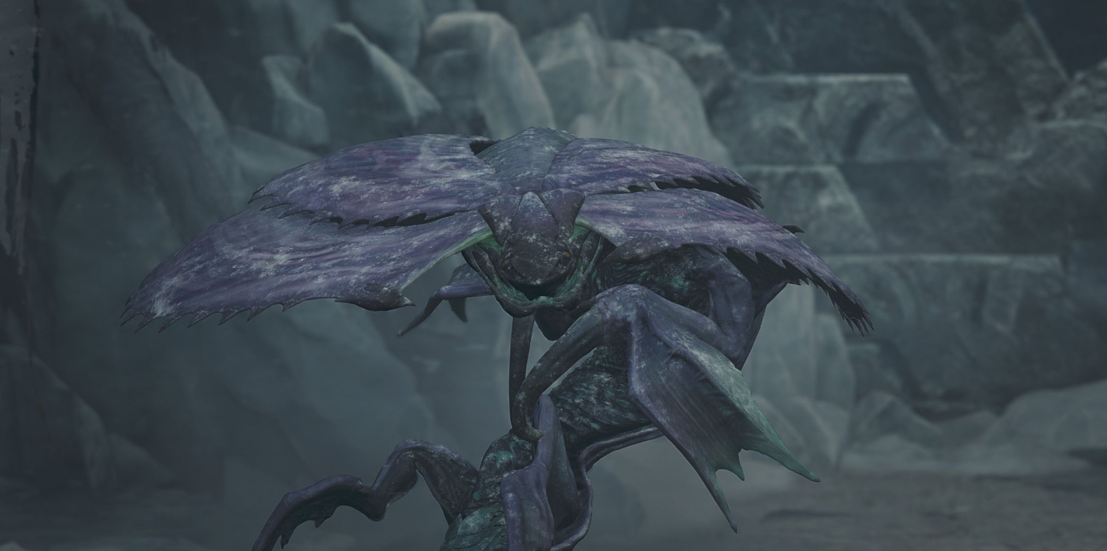 How To Beat Hirabami In Monster Hunter Wilds