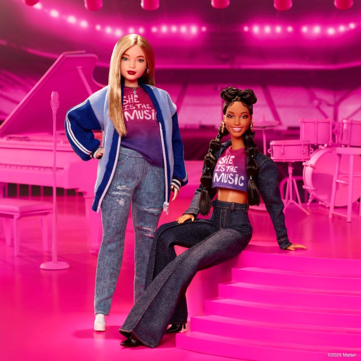 Barbie celebrates the world of music with 2025 Career of the Year ...