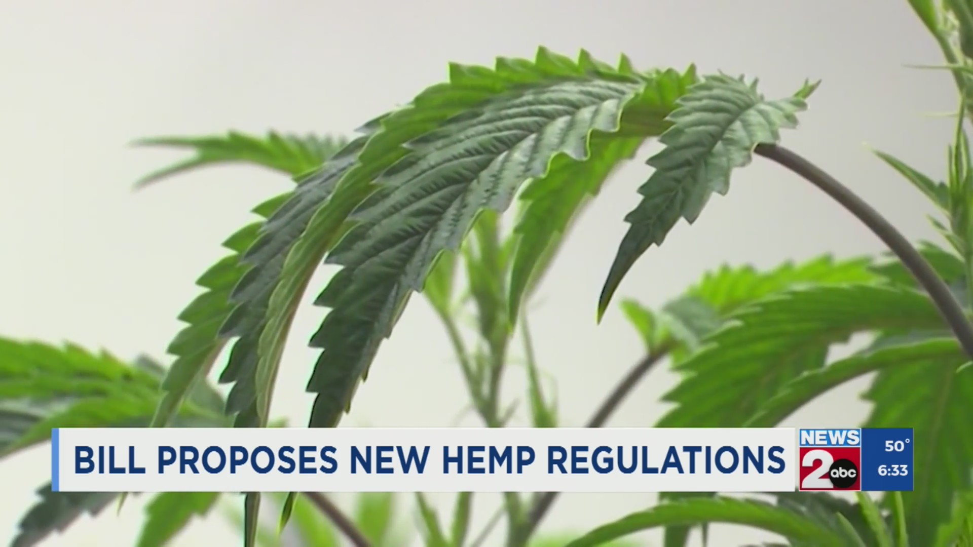 Bill proposes new hemp regulations in TN