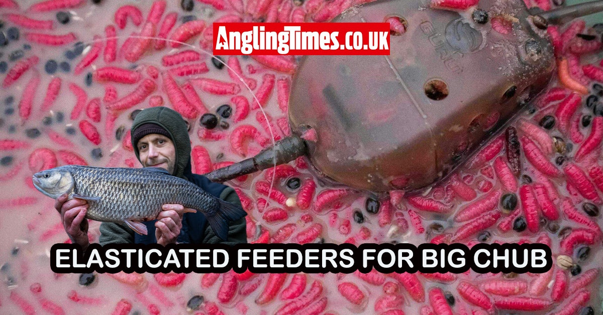 Try this elasticated feeder for big chub