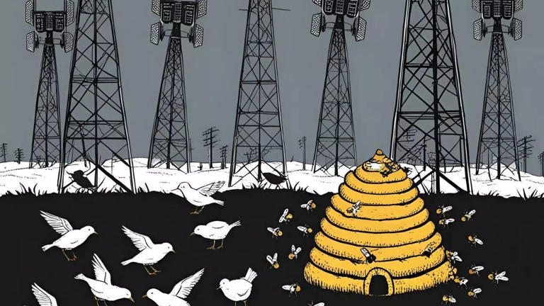 Is 5G technology killing our bees and birds?