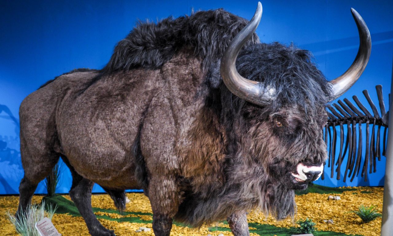12 Extinct Ice Age Animals Unearthed By Climate Change