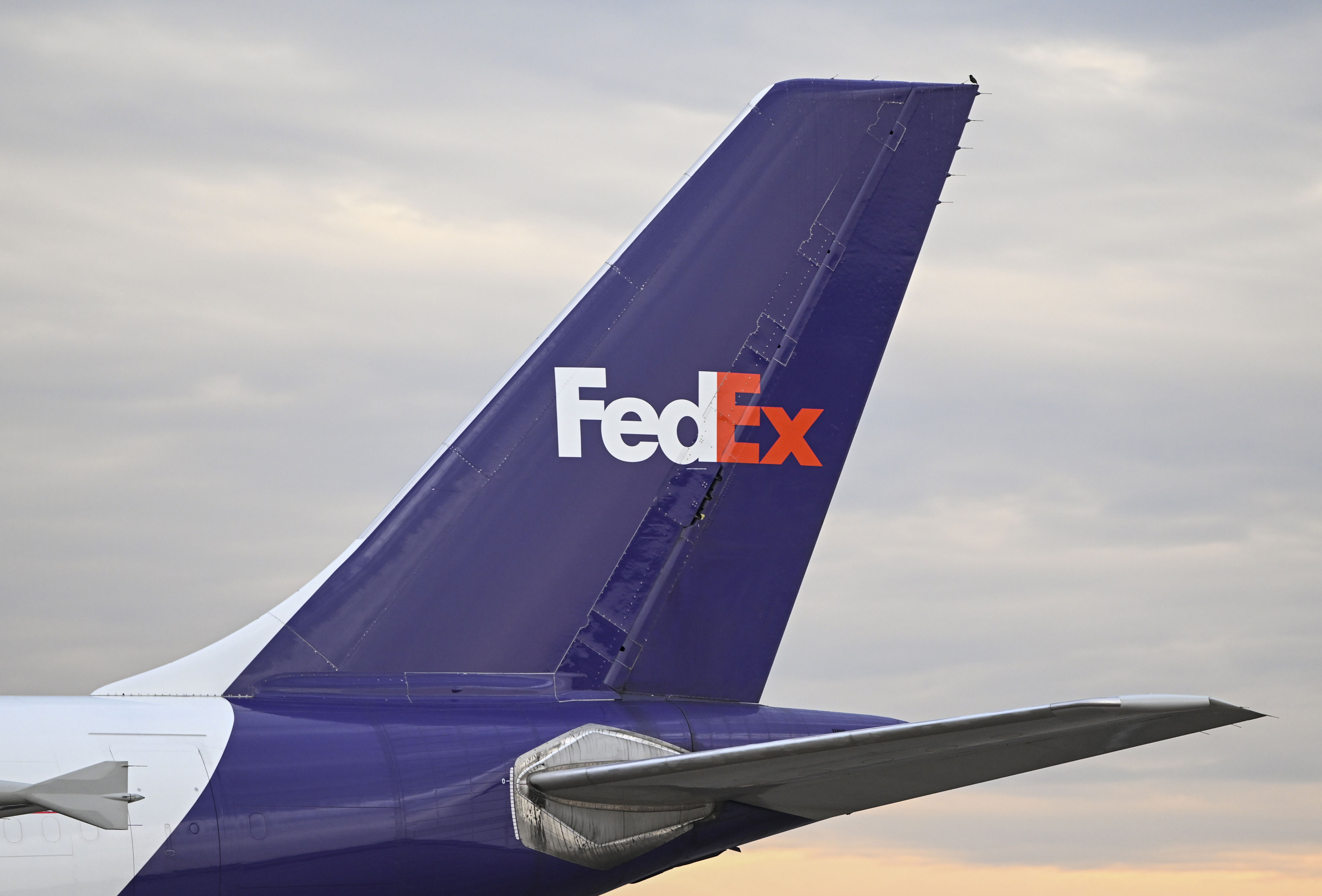 Bird strike forces FedEx cargo plane to make emergency landing at ...