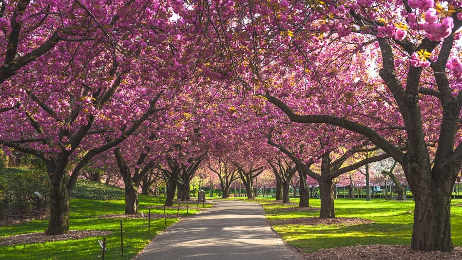 Defining spring: How the meteorological seasons differ from the calendar
