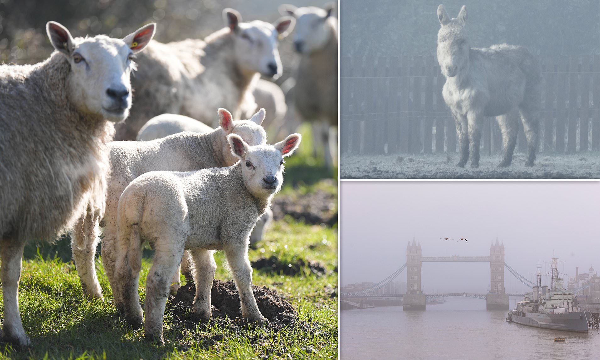 Spring is finally springing! Warm weather will stay for whole weekend