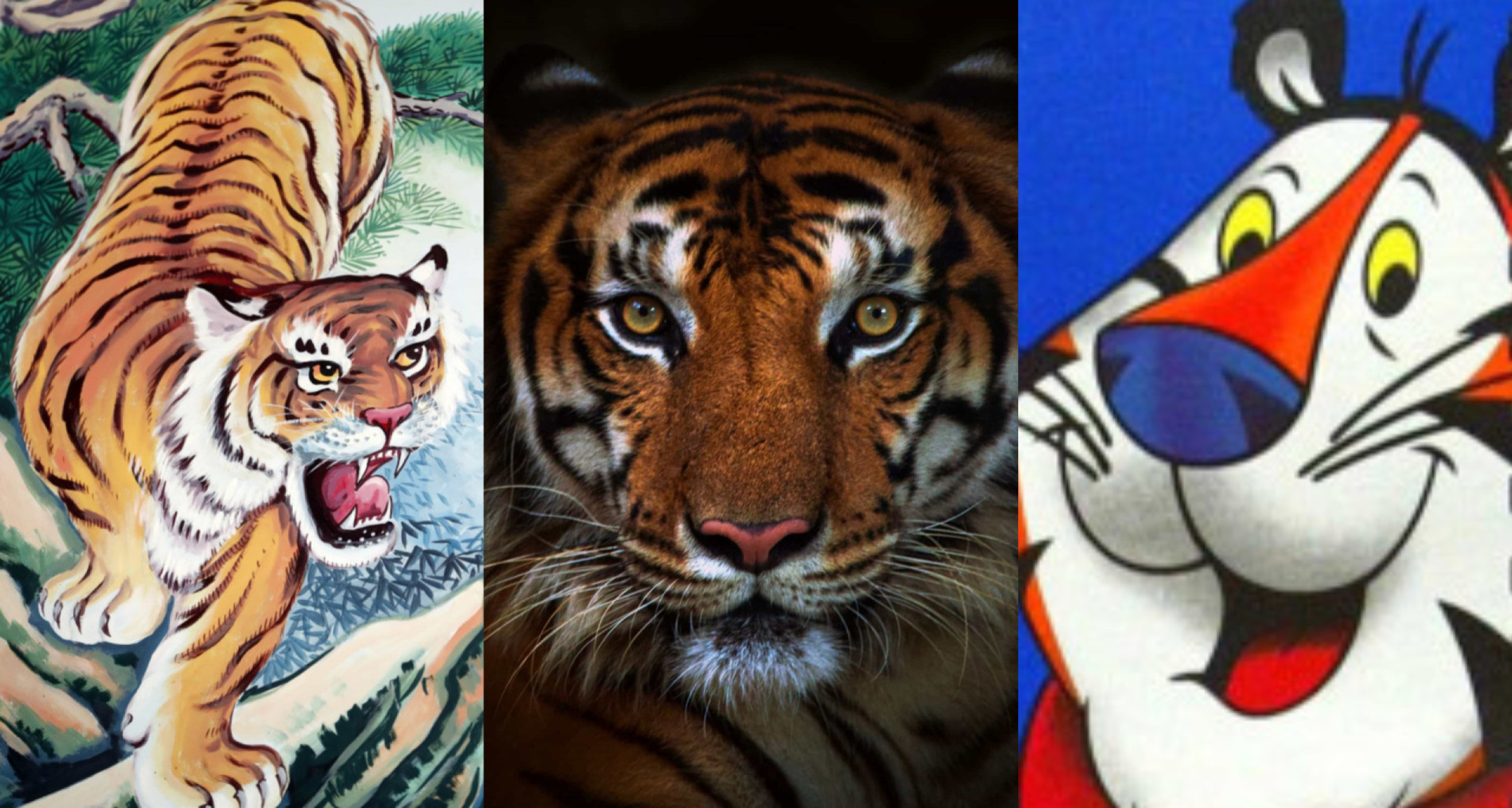 Der Tiger: Geschmeidig, kraftvoll, geheimnisvoll