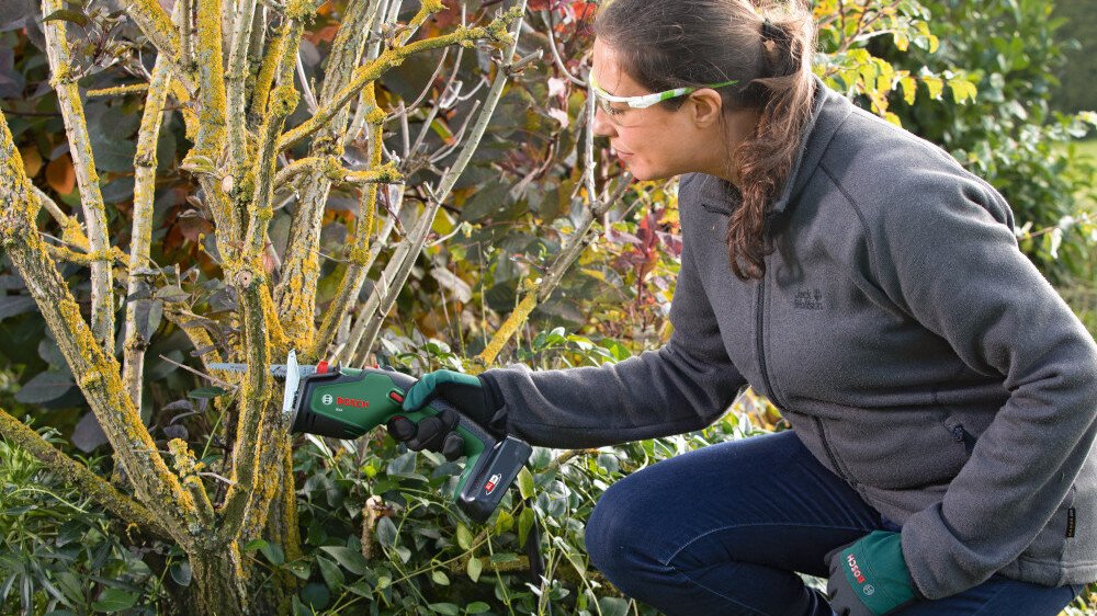 Piły i nożyce do gałęzi — w tym roku użyjesz ich wcześniej