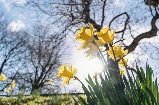 Hour-by-hour Swindon and Wiltshire weather forecast as sunny weekend ahead