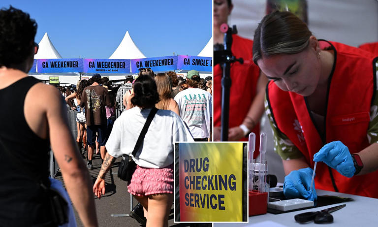 Yours and Owls Festival, Wollongong: First pill testing site launched