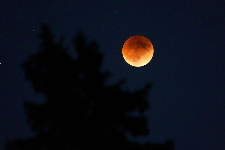 Will Mississippi see the total lunar eclipse in March? Here's when it ...