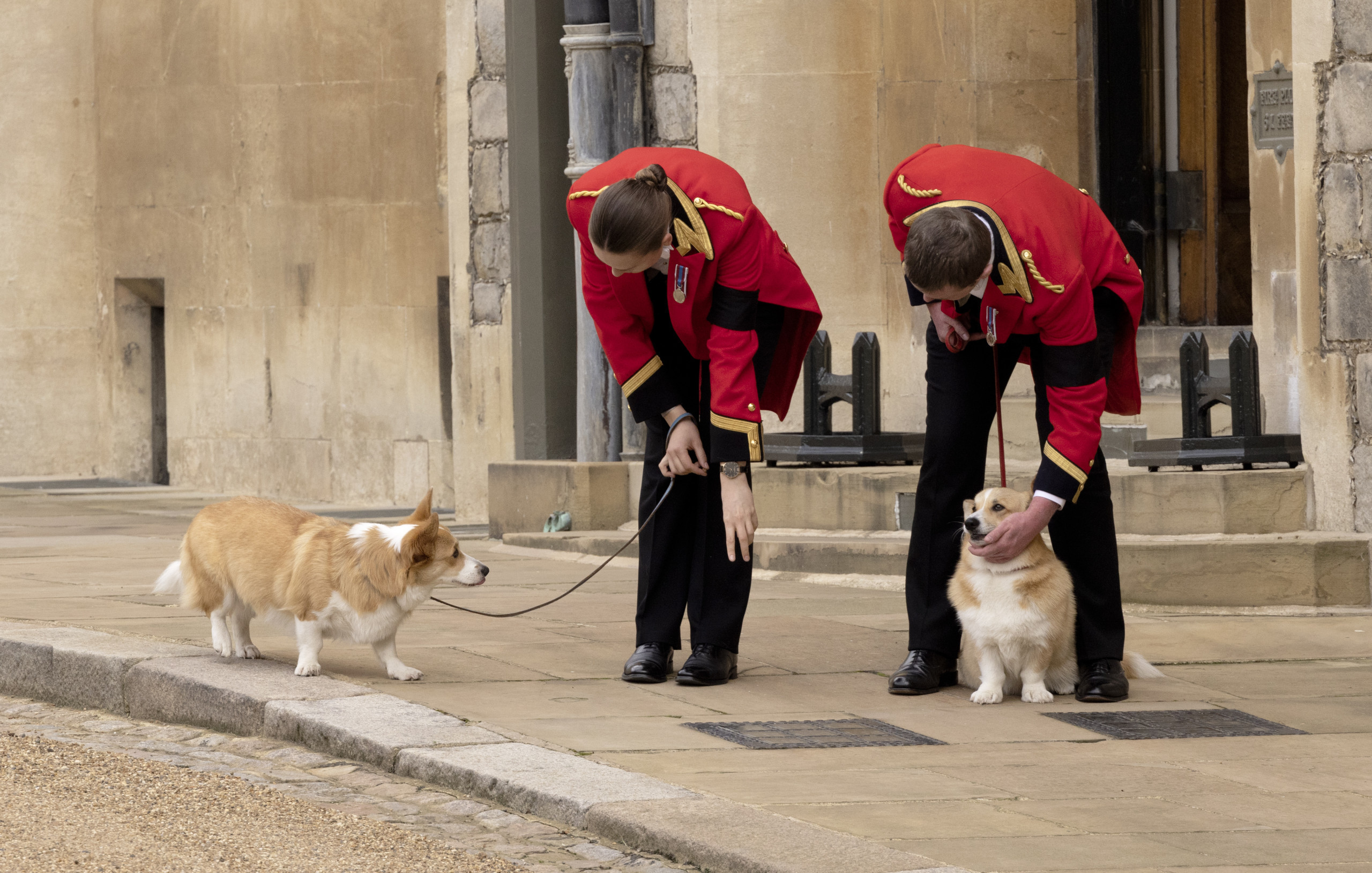 A history of the late Queen's beloved corgis