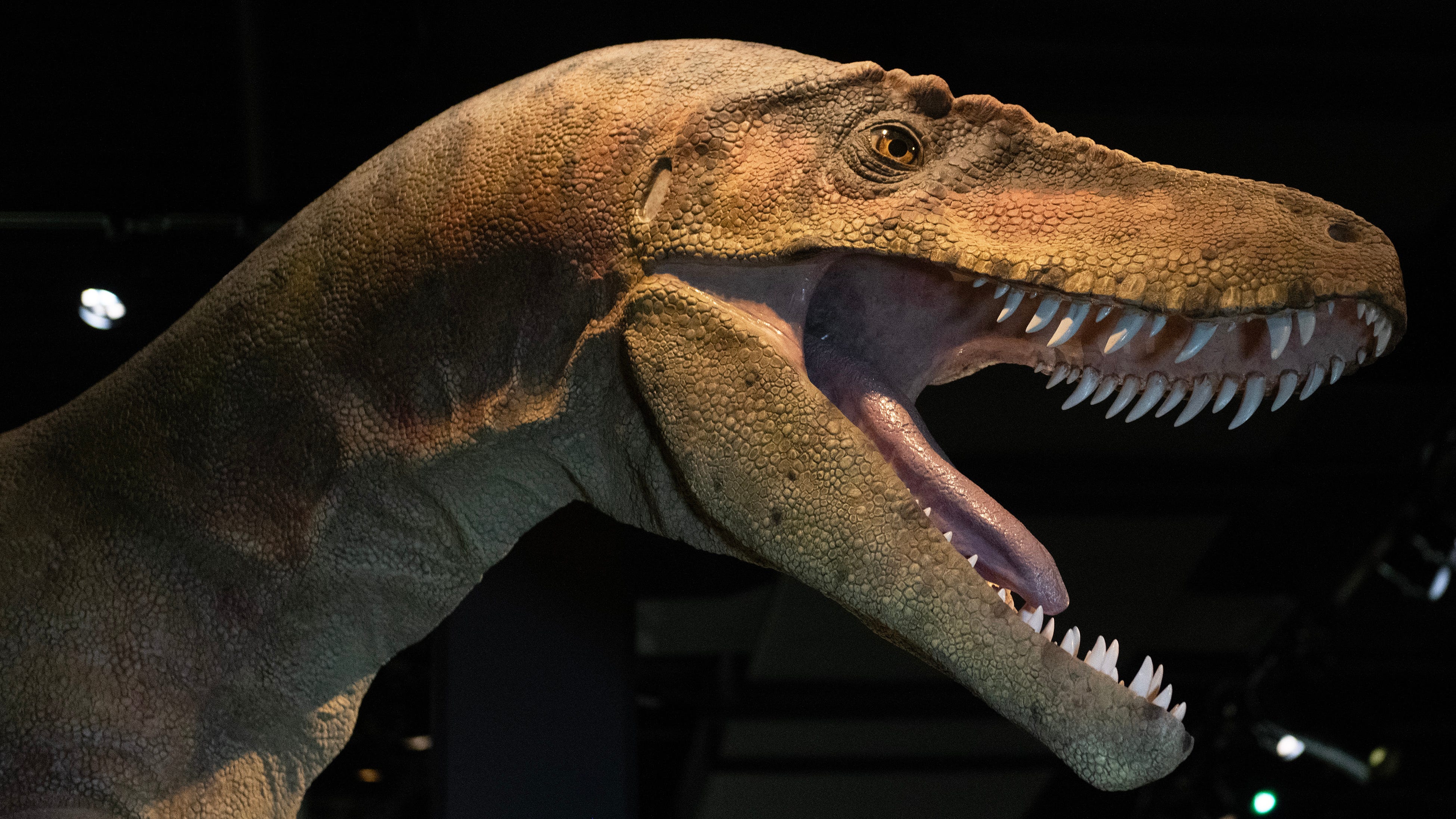 Two NJ museums named best in America by USA TODAY readers