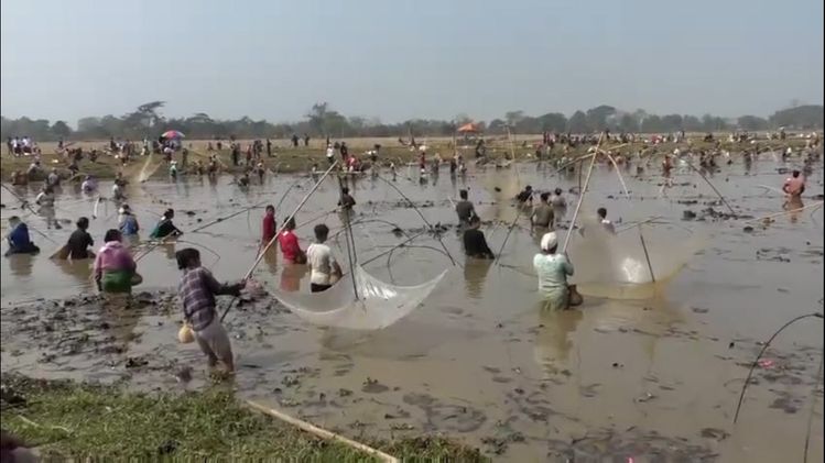 Assam: Traditional fishing festival draws thousands to Dudhnoi’s ...