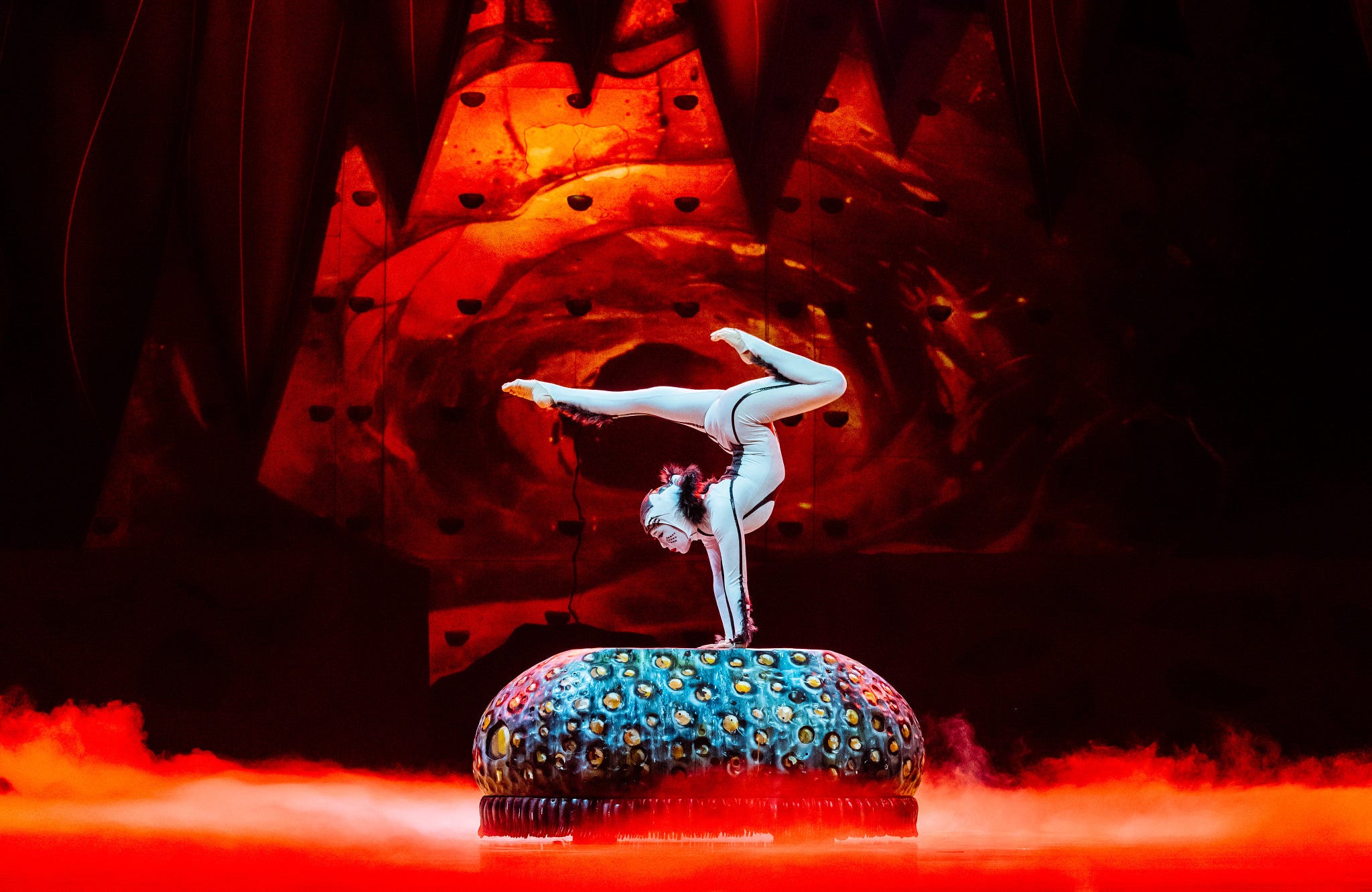 Cirque du Soleil returning to Oklahoma with reimagined 'OVO' show: How ...