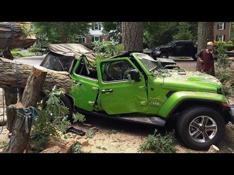 CRAZY Jeep Fails and Wins Off Road Compilation