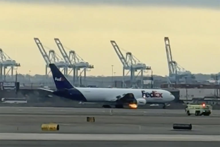 FedEx cargo plane makes emergency landing following bird strike and ...
