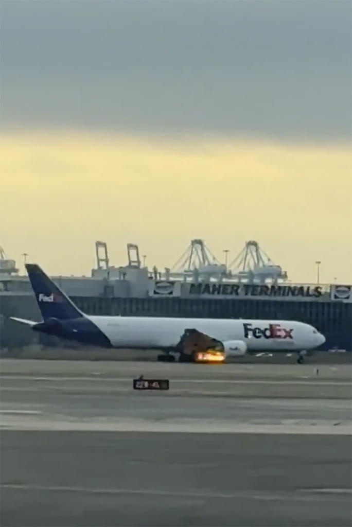 FedEx cargo plane makes emergency landing following bird strike and ...